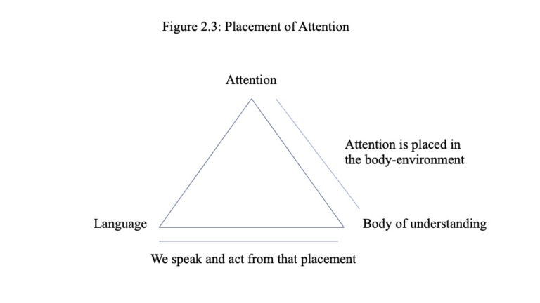 Figure 2.3- Placement of Attention - Welcome to Thinking In Movement Studio